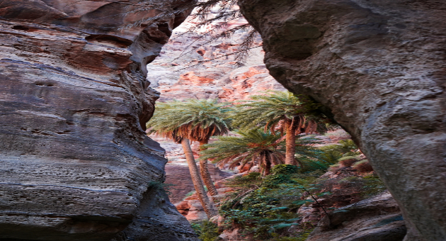 Wadi Bin Hammad | jordan inspiration tours